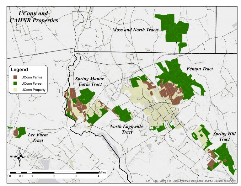Meet the Forest | UConn Forest
