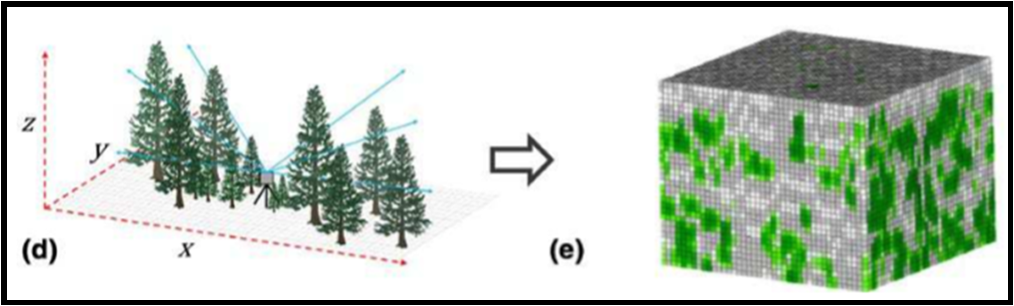 Canopy Structural Complexity Manipulation Experiment Uconn Forest