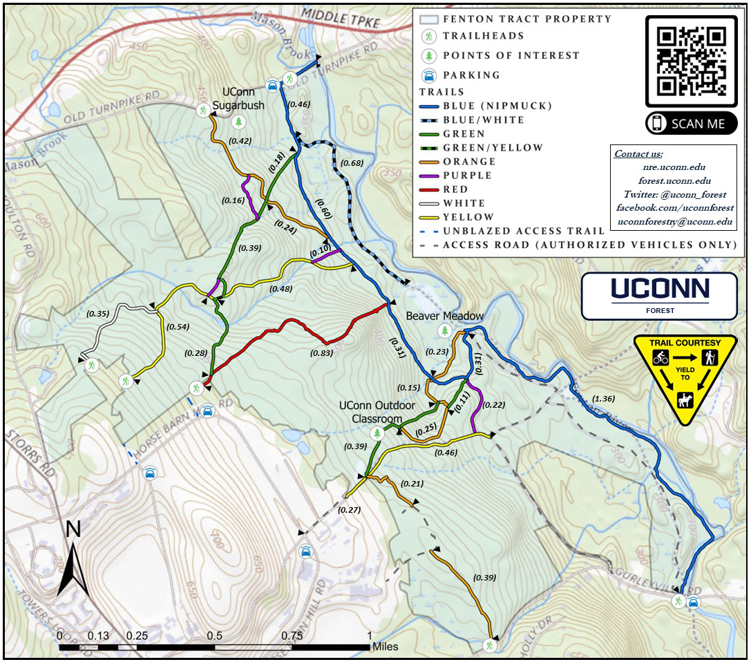 Fenton Tract | UConn Forest